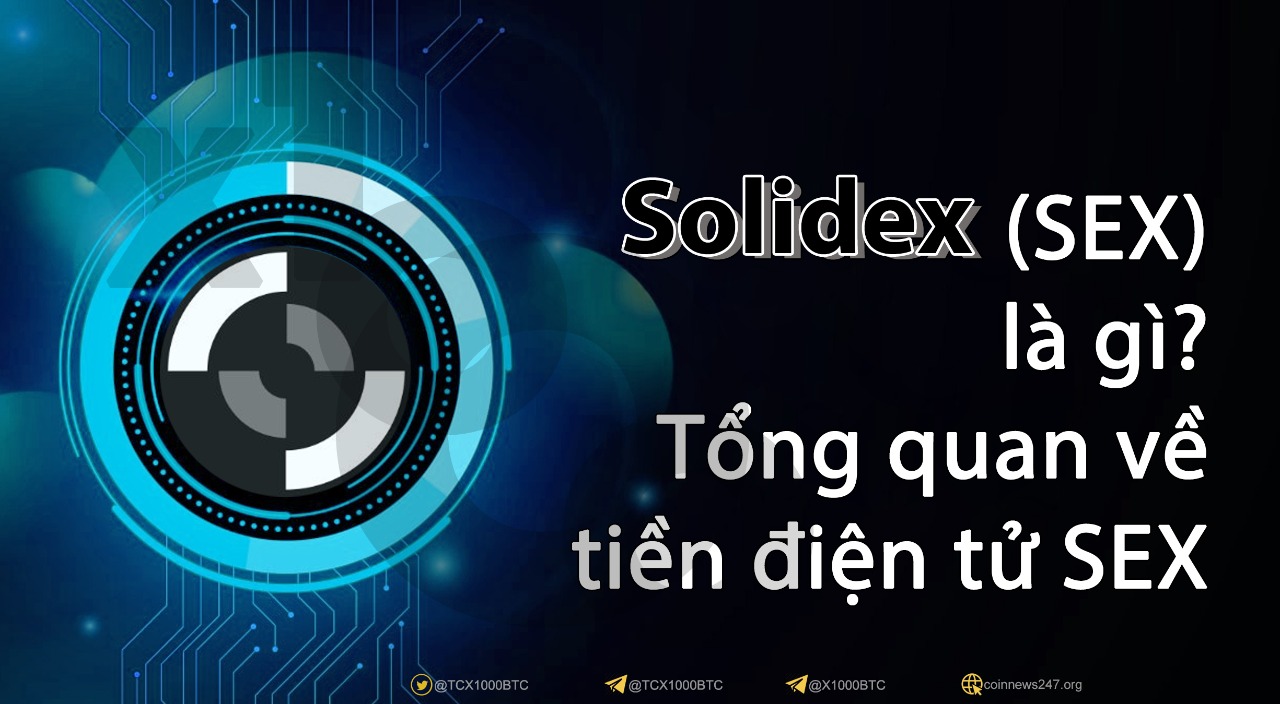 Solidex Sex Là Gì Tổng Quan Về Tiền điện Tử Sex Tcx Capital